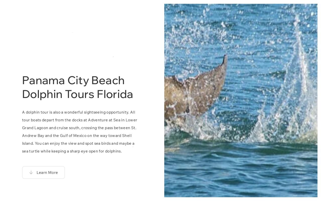Panama City Beach Dolphin Tours Florida